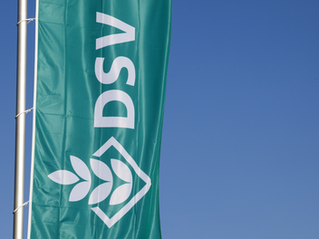DSV | Company