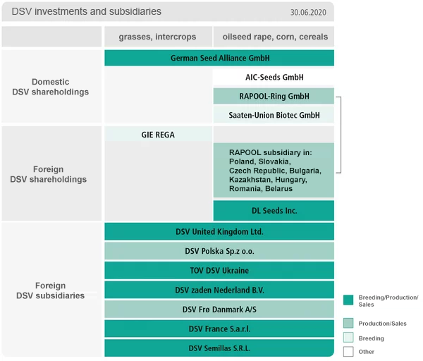 DSV | DSV international